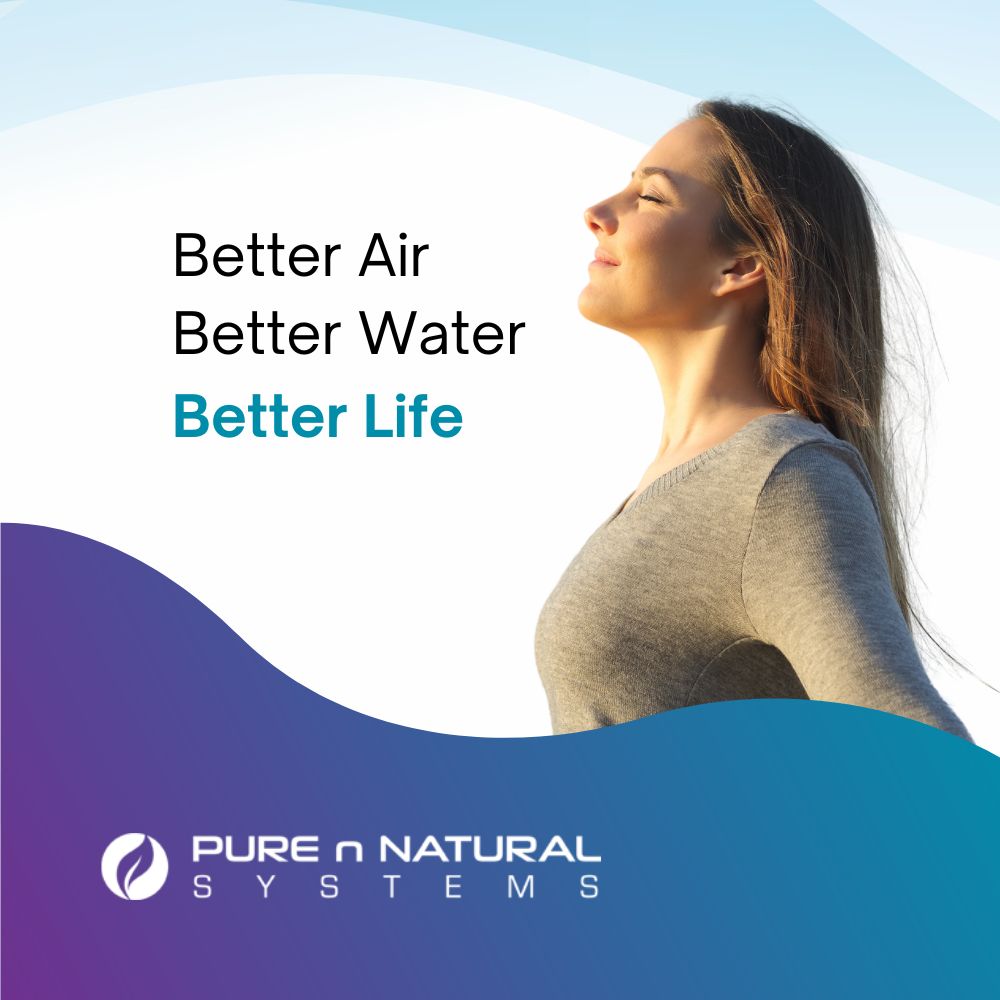 Clean Air and Water Filtration Systems | Home & Commercial – Pure n ...